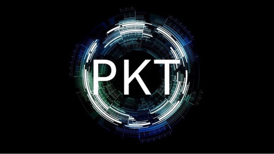 Why You Should Take Advantage of PKT Cash - Finance Reference