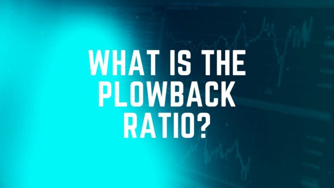 What Is The Plowback Ratio? - Finance Reference