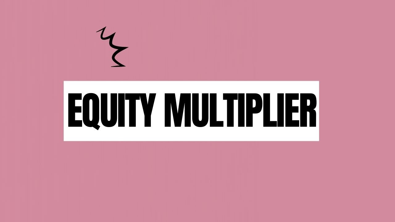 Equity Multiplier - Finance Reference