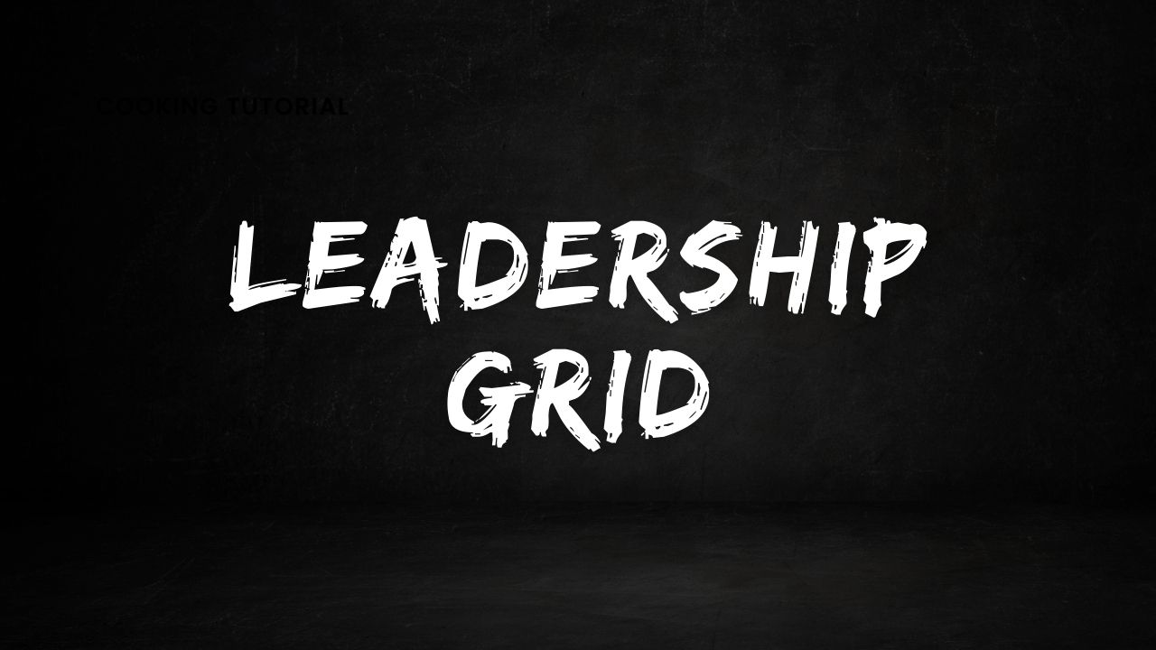 Leadership Grid - Finance Reference